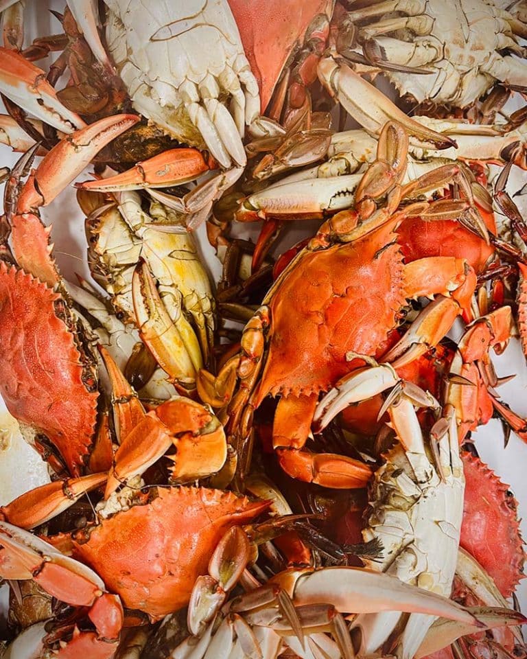 Meat & Seafood | Robért Fresh Market New Orleans